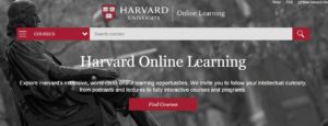 Online courses: how to learn almost anything online today - Island Diaries
